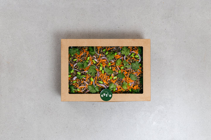 Café Gusto: Sydney's Finest Coffee & Eats Experience